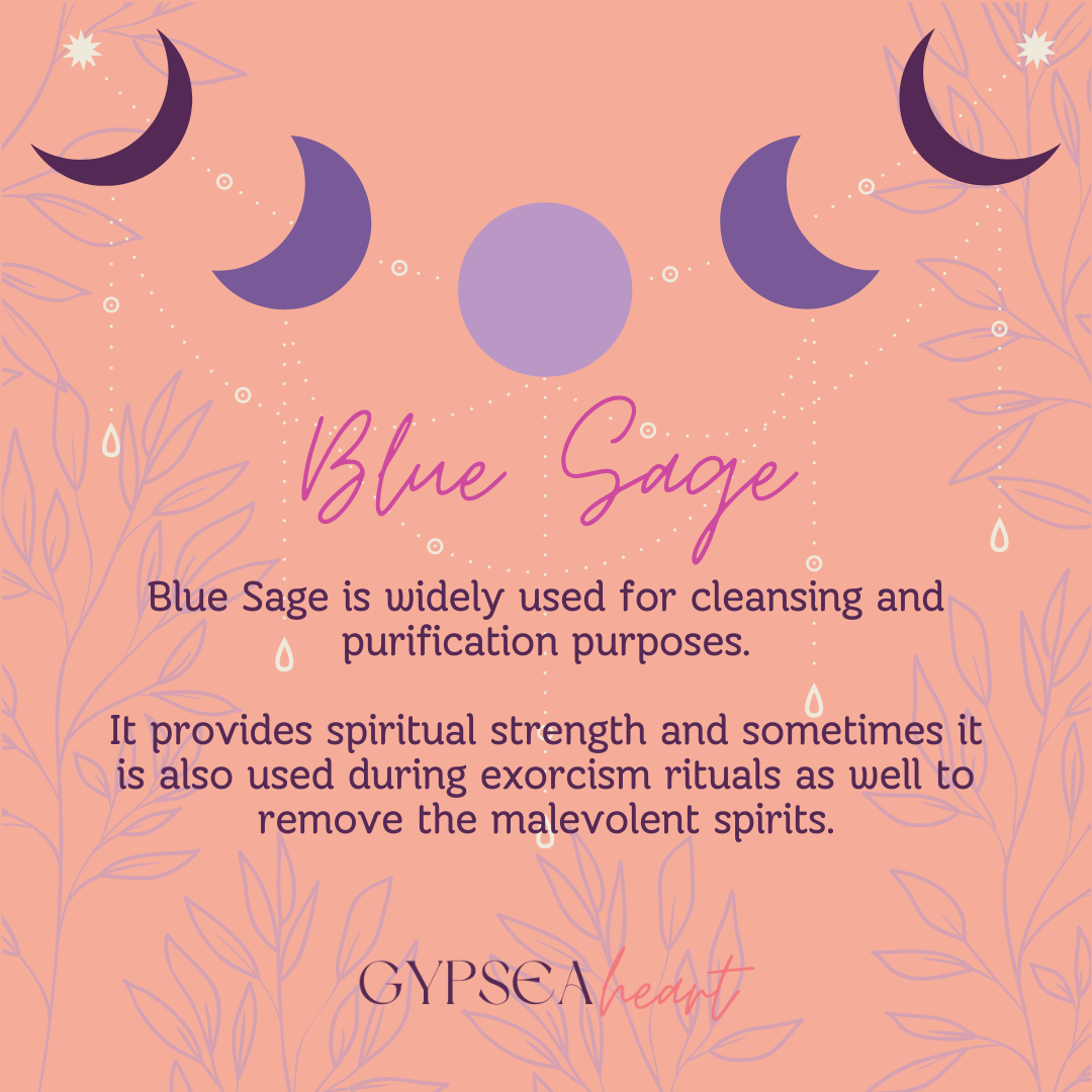 Blue Sage